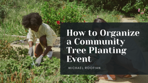 How to Organize a Community Tree Planting Event | Michael Roofian ...